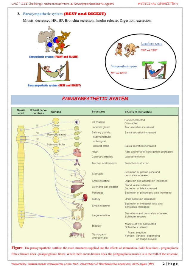 Cholinergic neurotransmitters & Parasympathomimetic agents | PDF ...