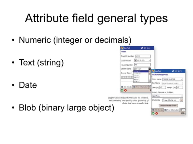 UNIT - III GIS DATA STRUCTURES (1).ppt