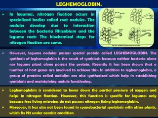 Unit III- Nitrogen metabolism and Growth | PDF