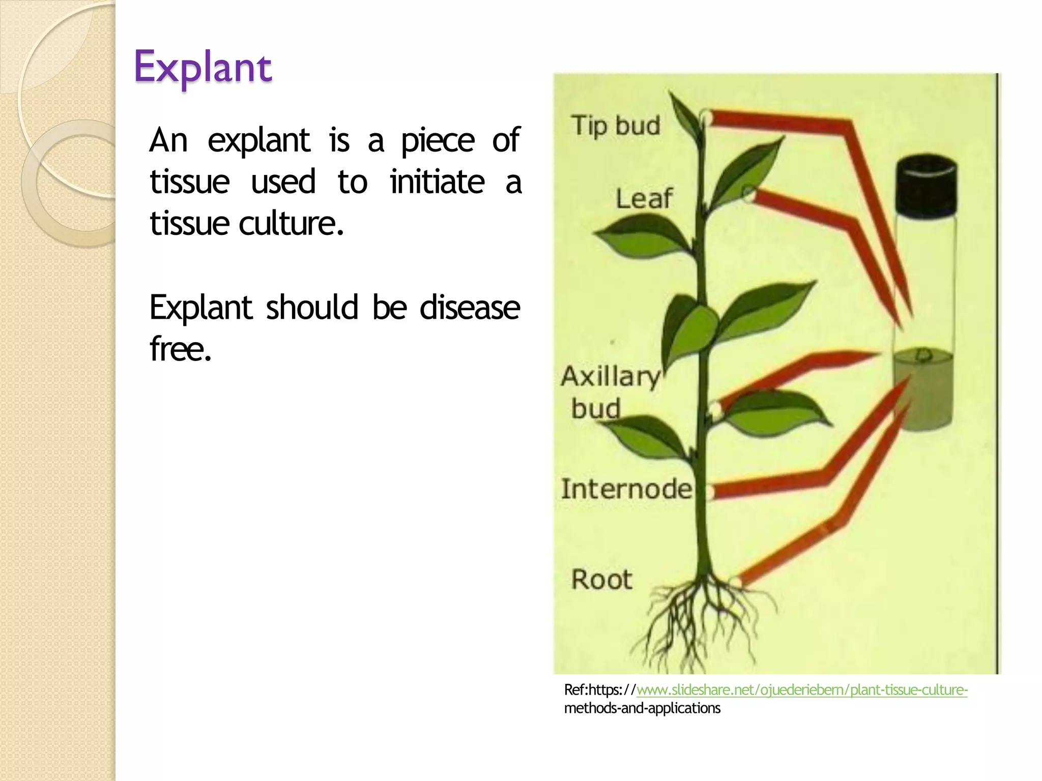 UNIT -III Plant Tissue Culture.pdf