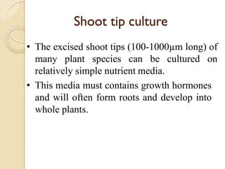 UNIT -III Plant Tissue Culture.pdf