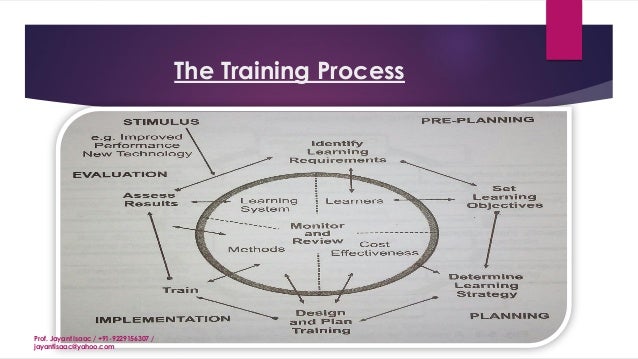 Training Process