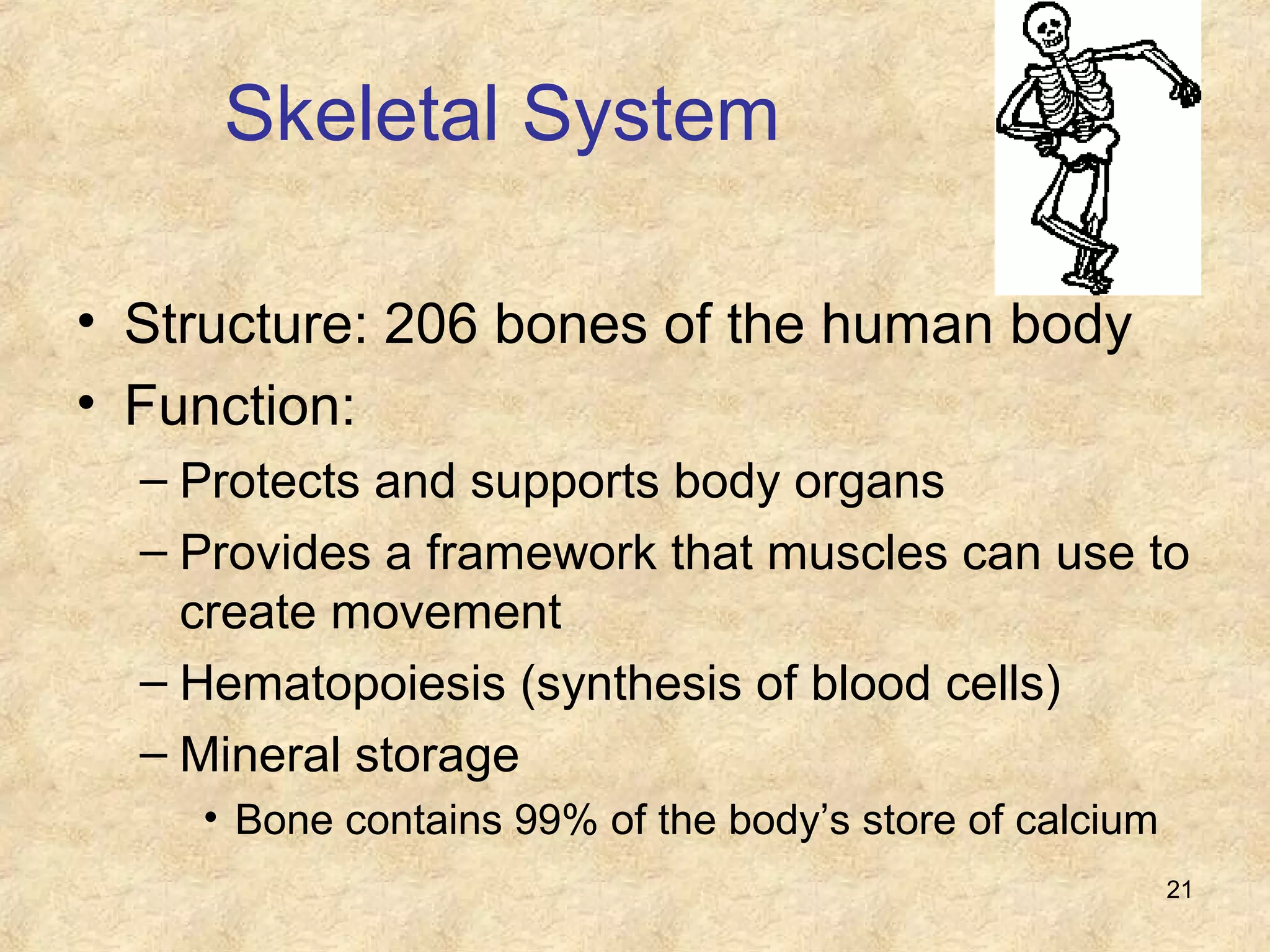 Unit i introduction to anatomical terms | PPT