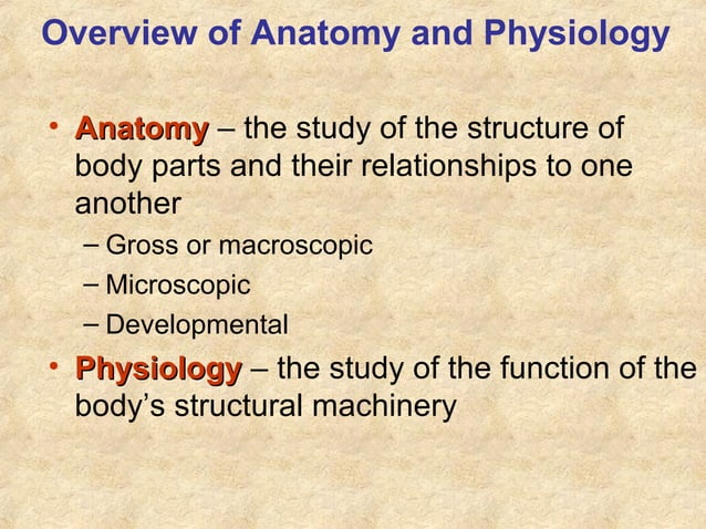 Unit i introduction to anatomical terms | PPT