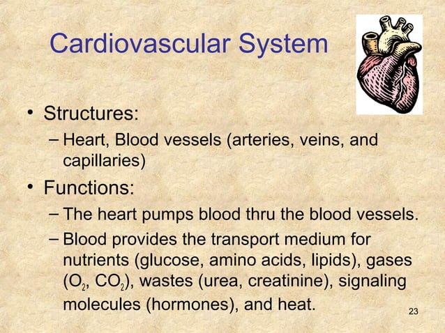 Unit i introduction to anatomical terms | PPT