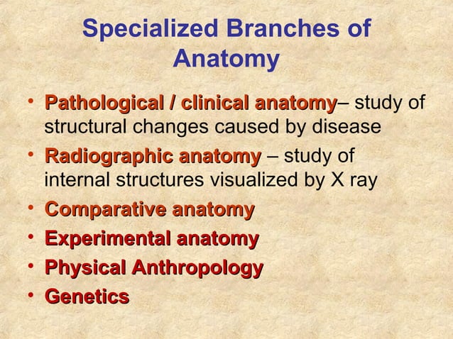 Unit i introduction to anatomical terms | PPT