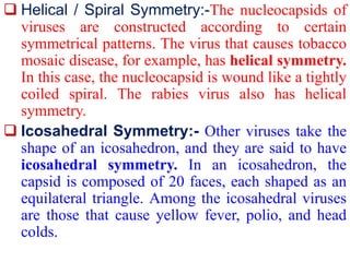 Unit - I Structure, Symmetry _ Cultivation of Viruses PPT.pptx ...