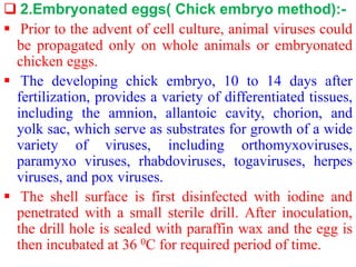 Unit - I Structure, Symmetry _ Cultivation of Viruses PPT.pptx