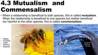 UNIT-IV.-Population-Ecology and Its Significance | PPTX | Biological ...