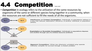 UNIT-IV.-Population-Ecology and Its Significance | PPTX | Biological ...