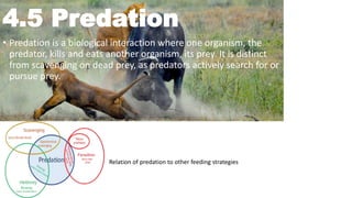 UNIT-IV.-Population-Ecology and Its Significance | PPTX | Biological ...