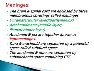 Unit iv -NERVOUS SYSTEM- SANJAY SIR | PPT