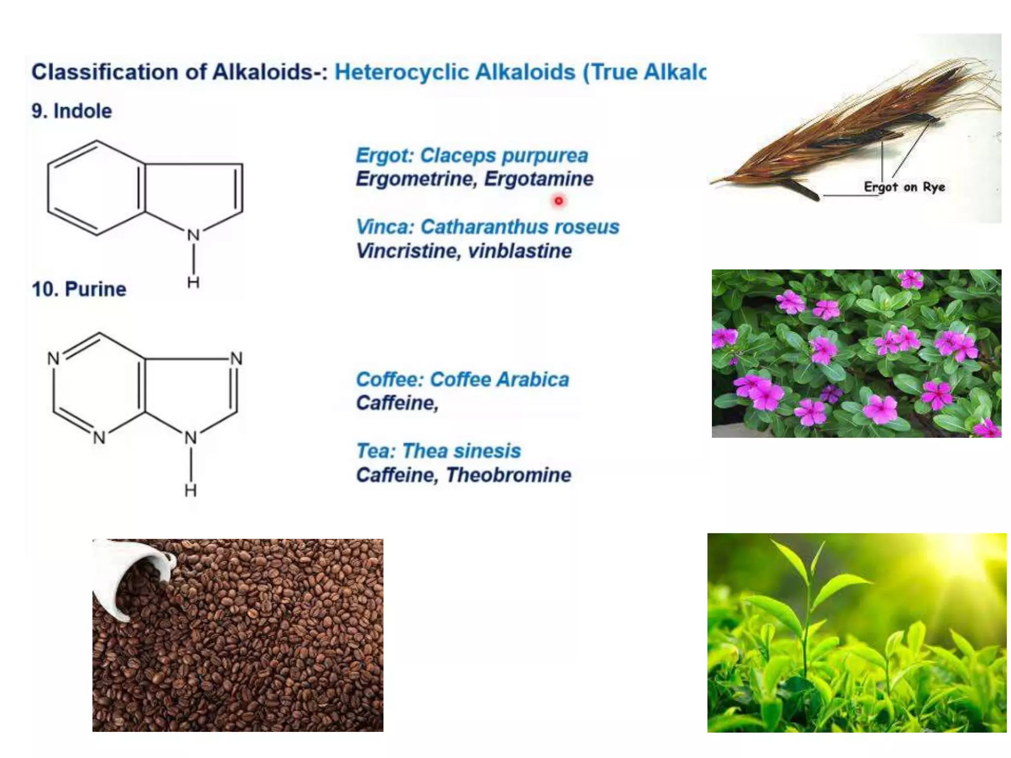 ALKALOIDS -Defination, Classification.Properties and chemical tests | PPT
