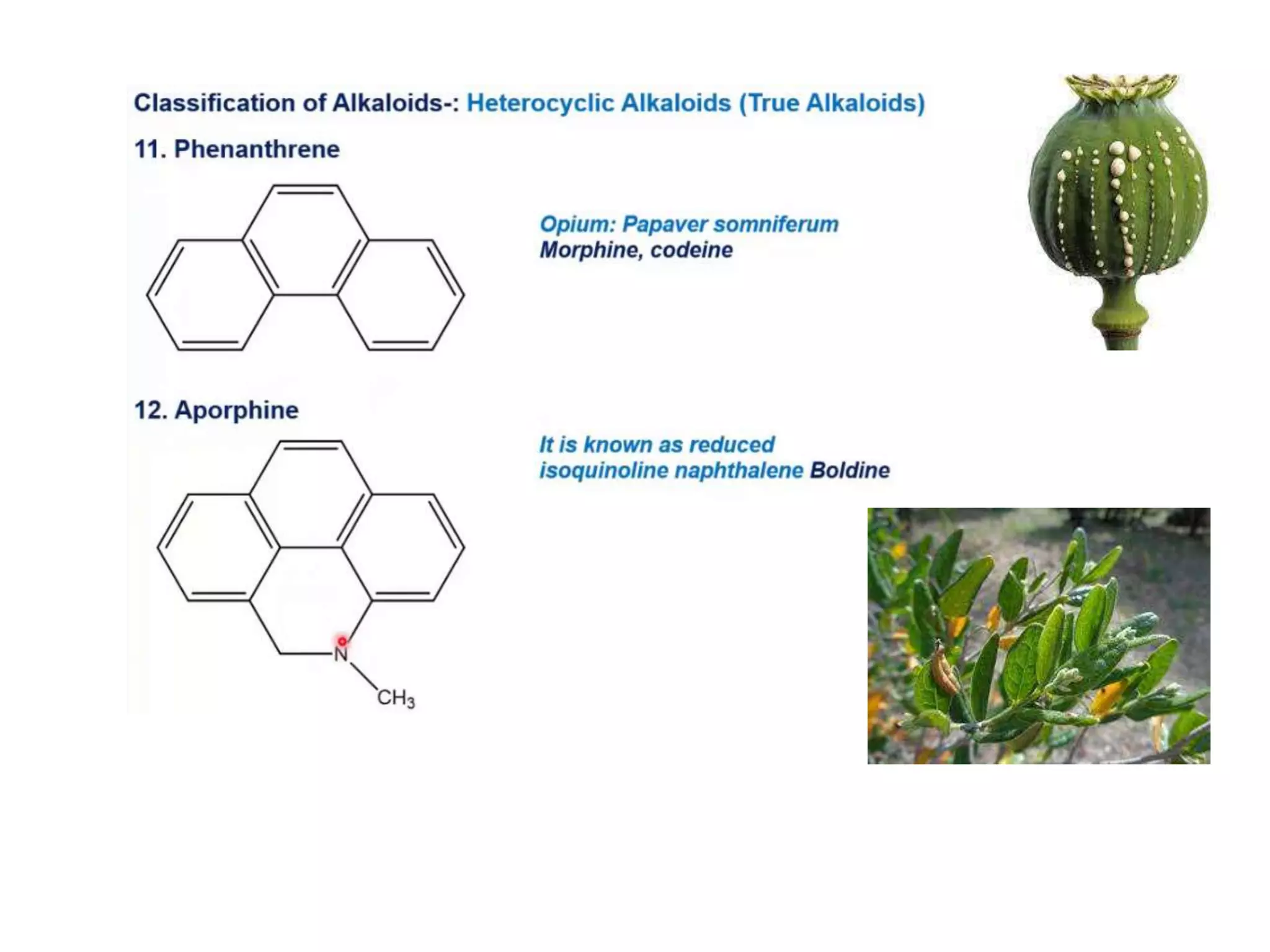 ALKALOIDS -Defination, Classification.Properties and chemical tests | PPT