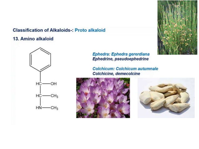 ALKALOIDS -Defination, Classification.Properties and chemical tests | PPT