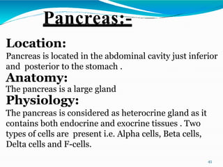 Endocrine System. | PPT