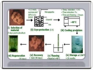 Unit-IV Germplasm Storage and Cryopreservation.pptx