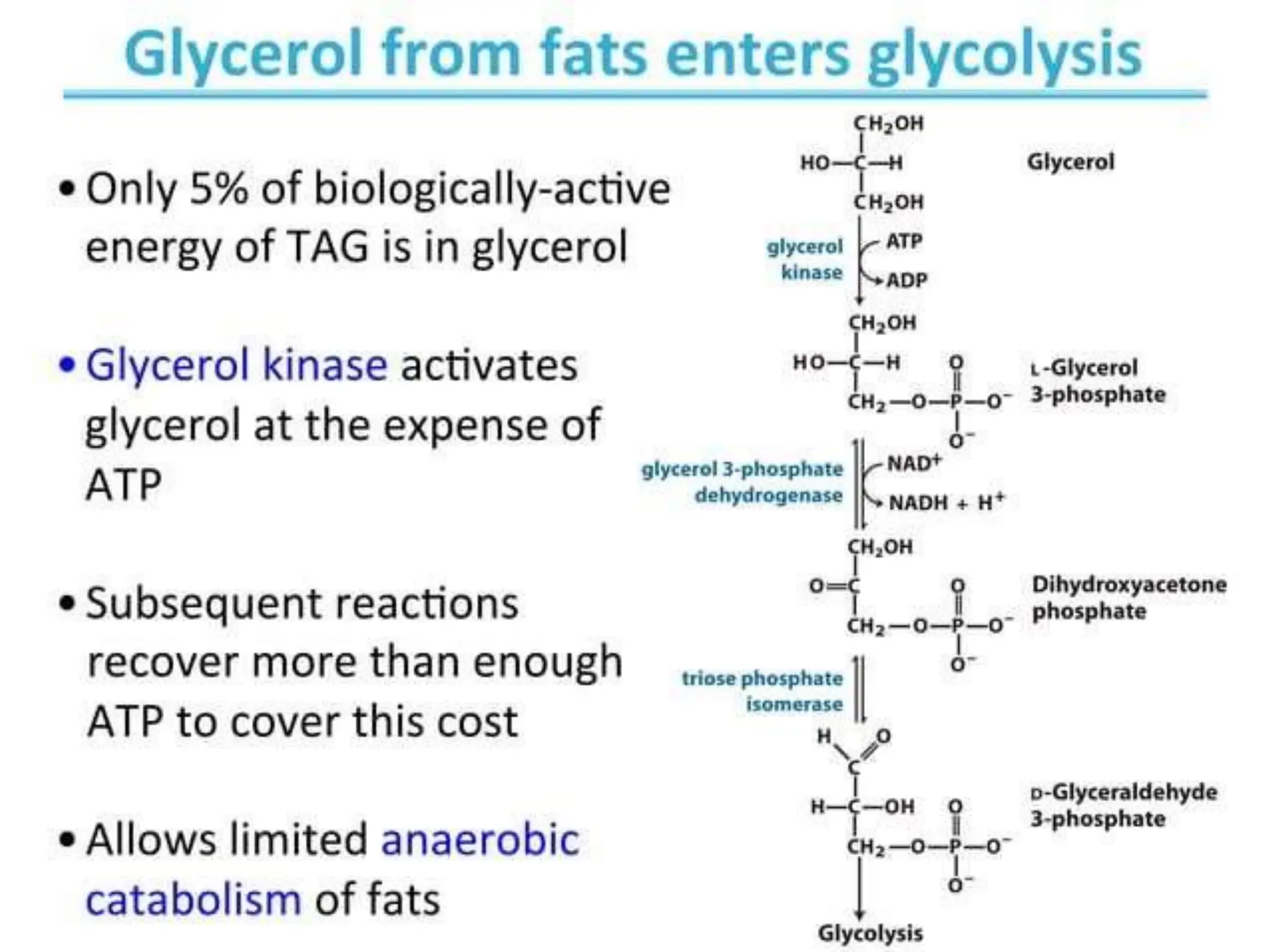 UNIT-IV LIPIDS Final.pptx