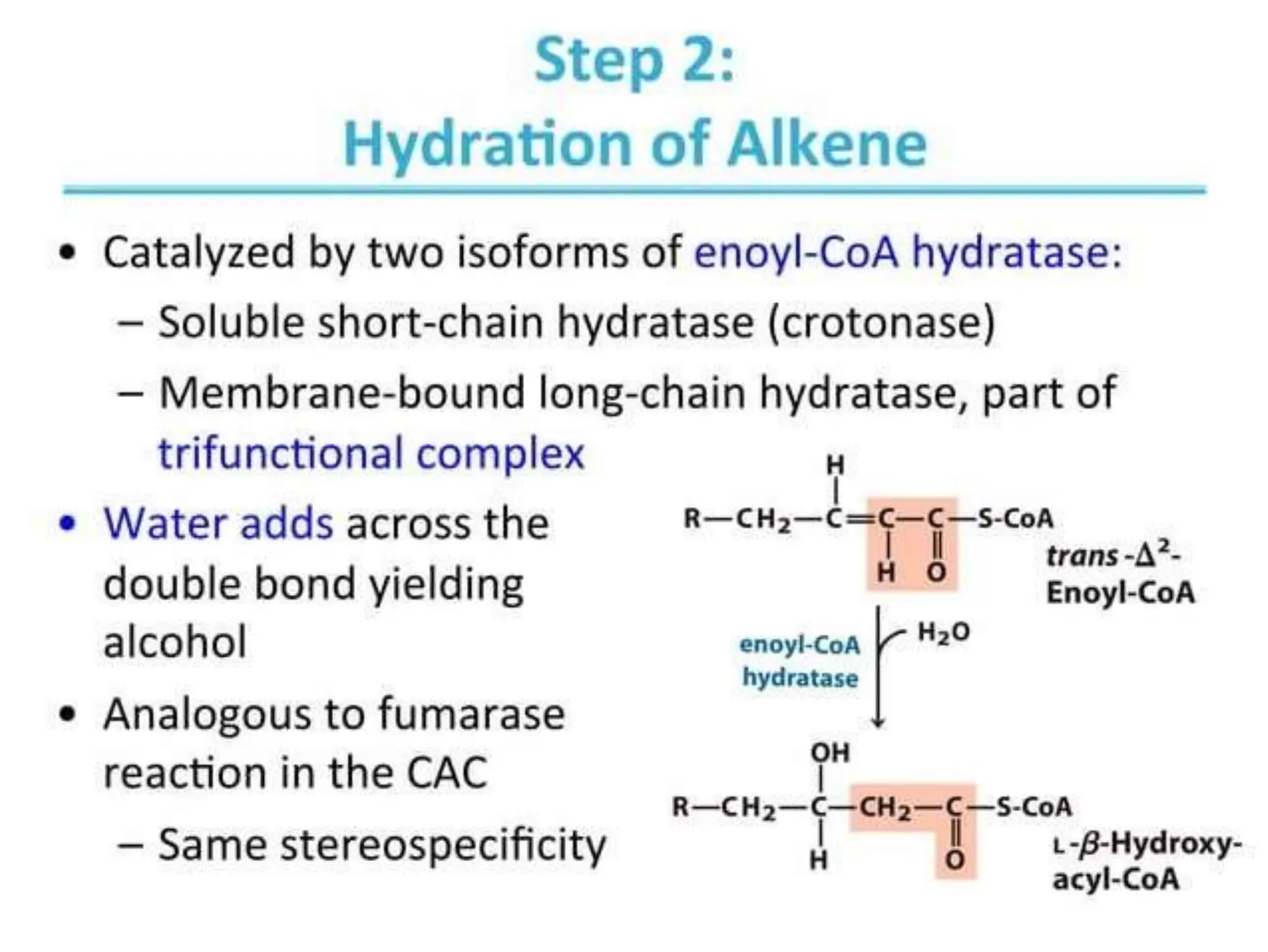 UNIT-IV LIPIDS Final.pptx
