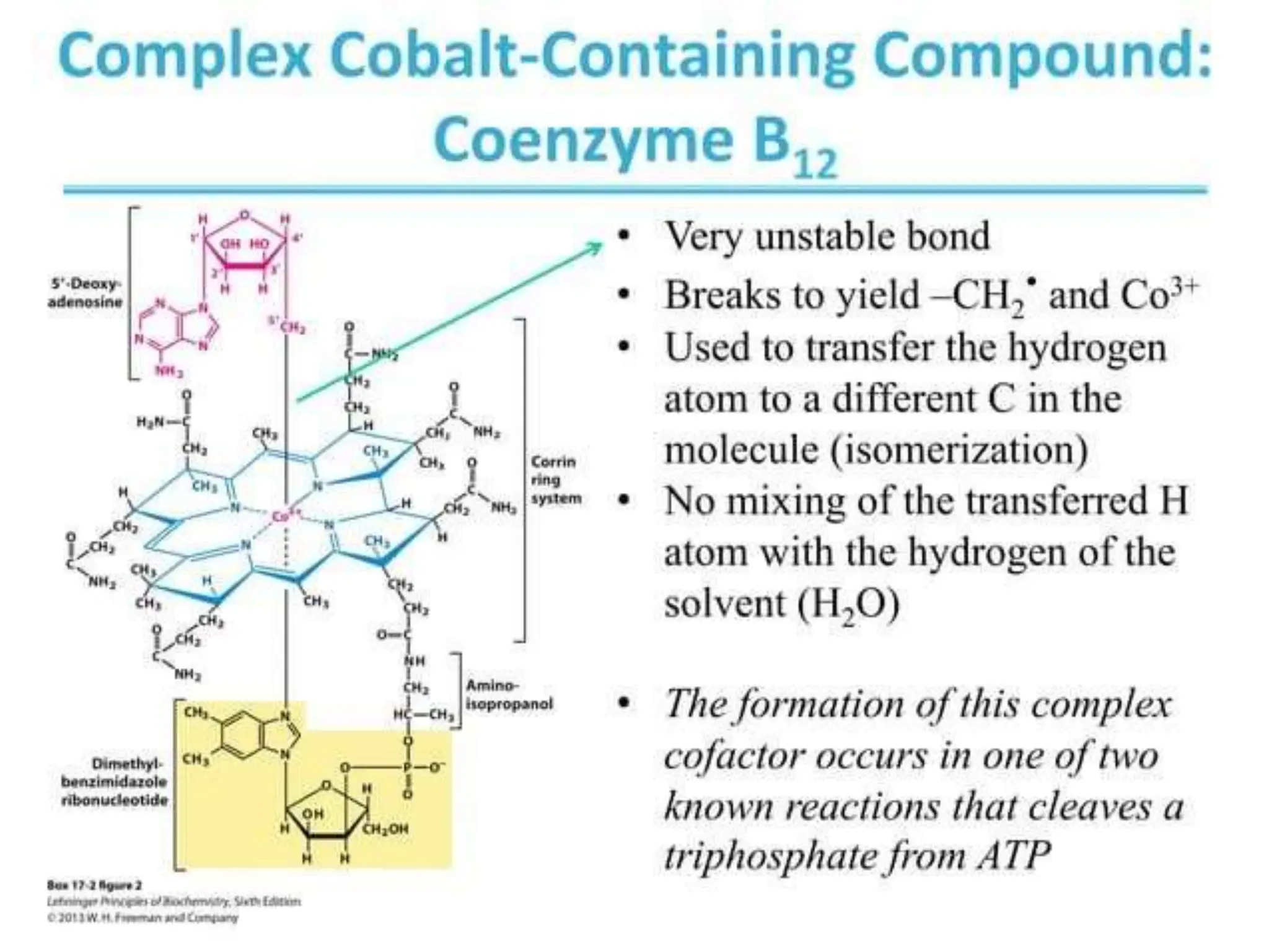 UNIT-IV LIPIDS Final.pptx