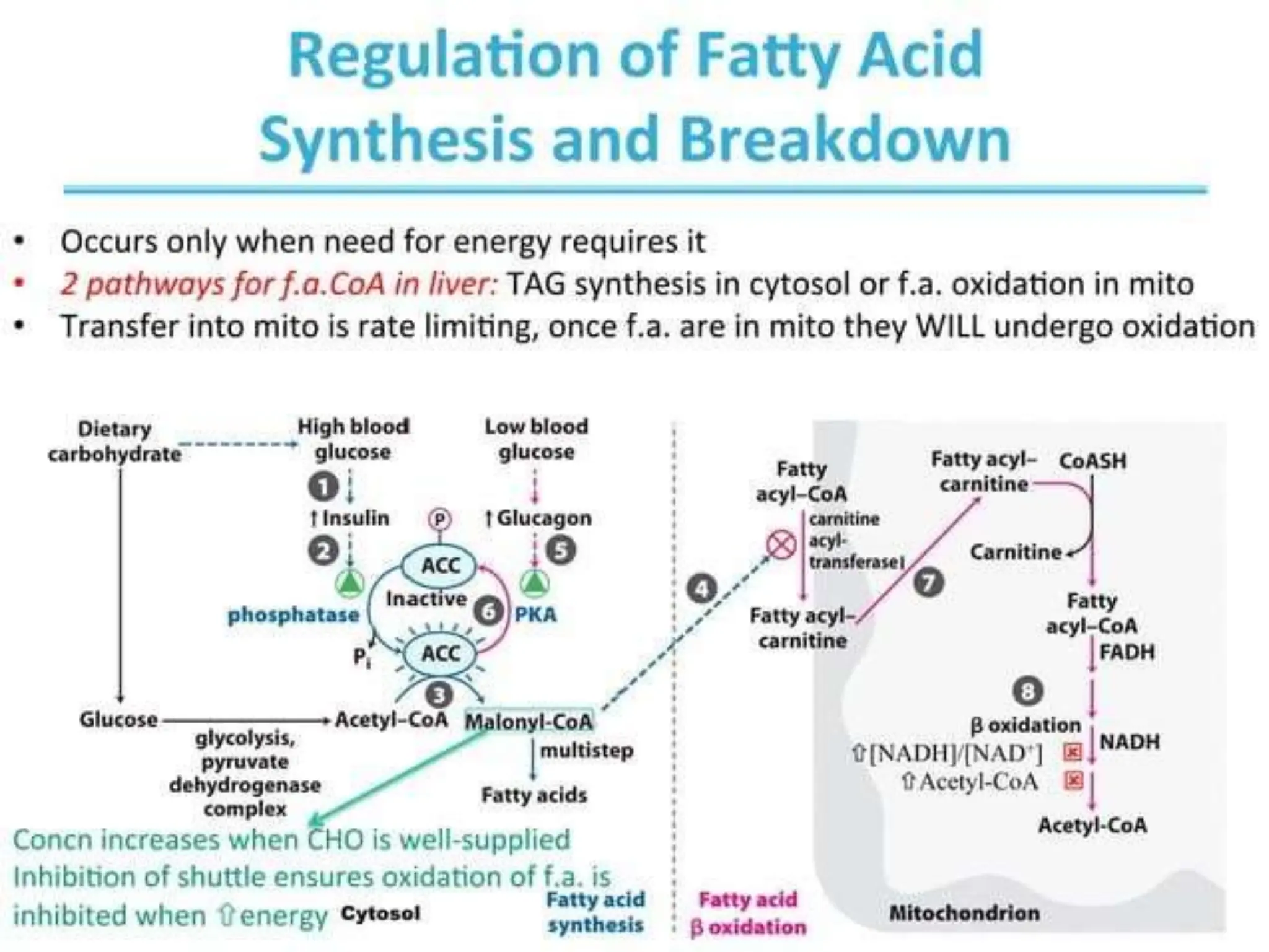 UNIT-IV LIPIDS Final.pptx