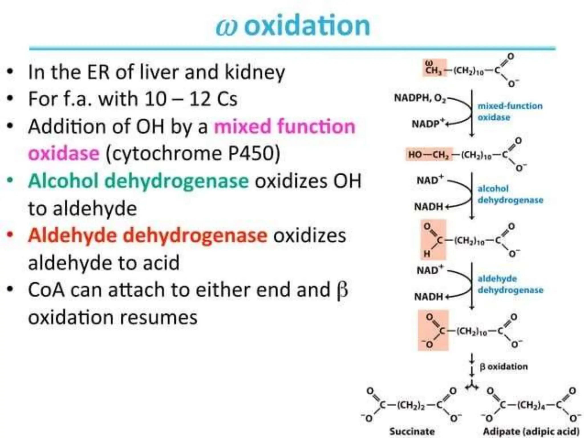 UNIT-IV LIPIDS Final.pptx