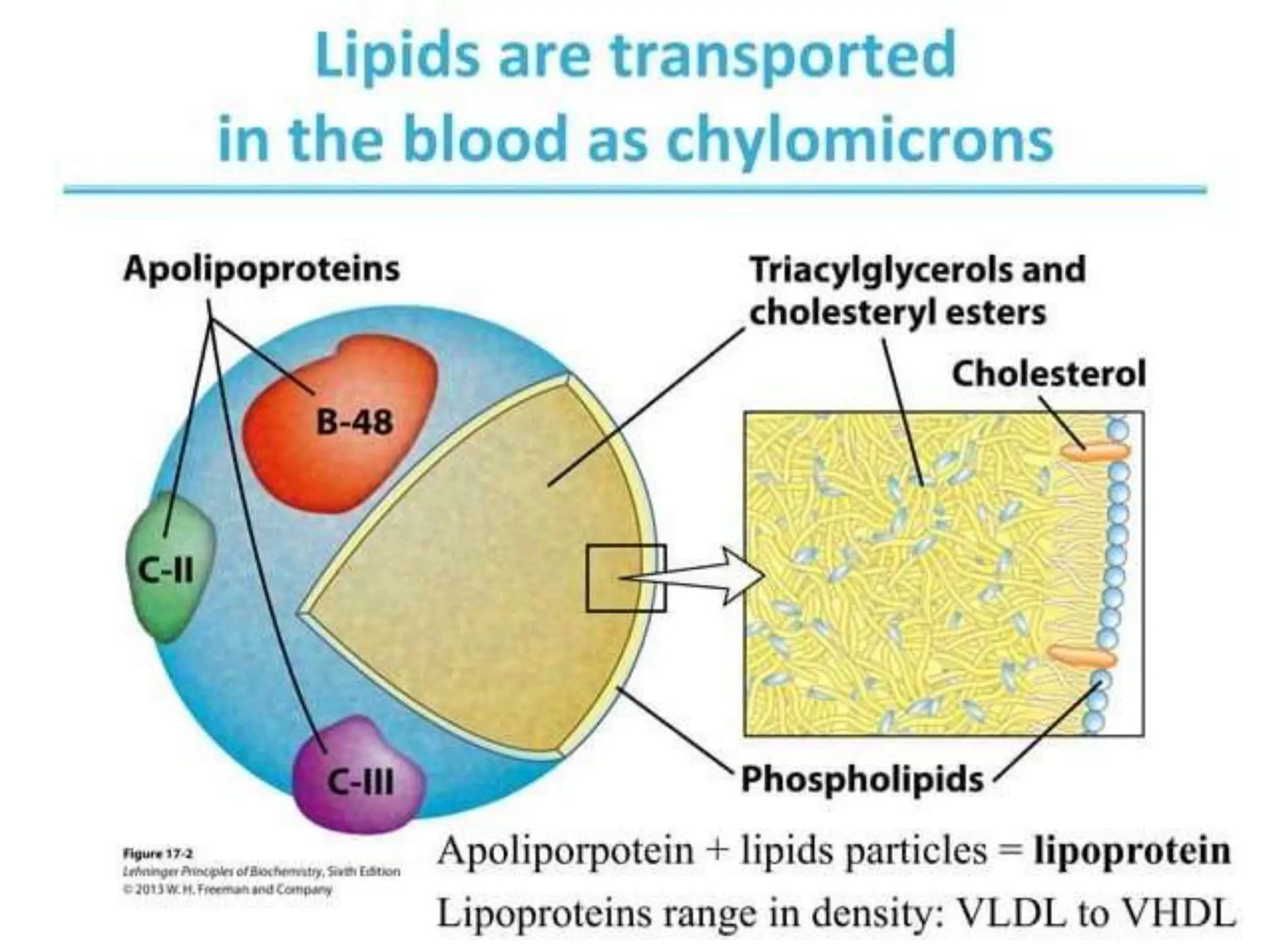 UNIT-IV LIPIDS Final.pptx