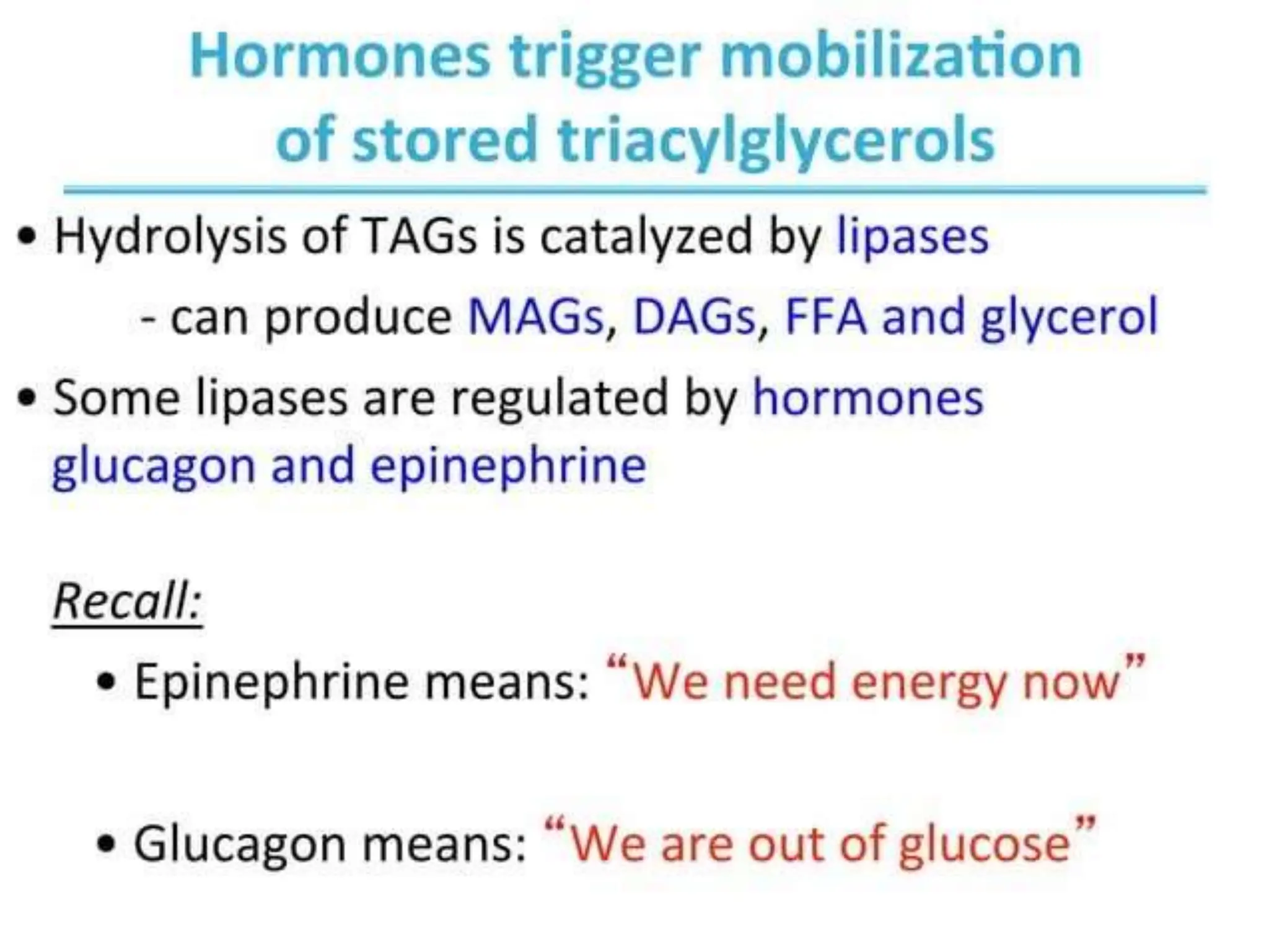 UNIT-IV LIPIDS Final.pptx