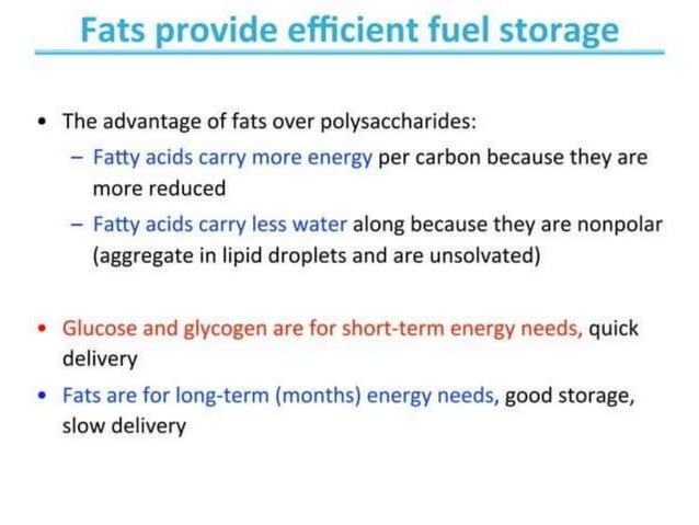 UNIT-IV LIPIDS Final.pptx