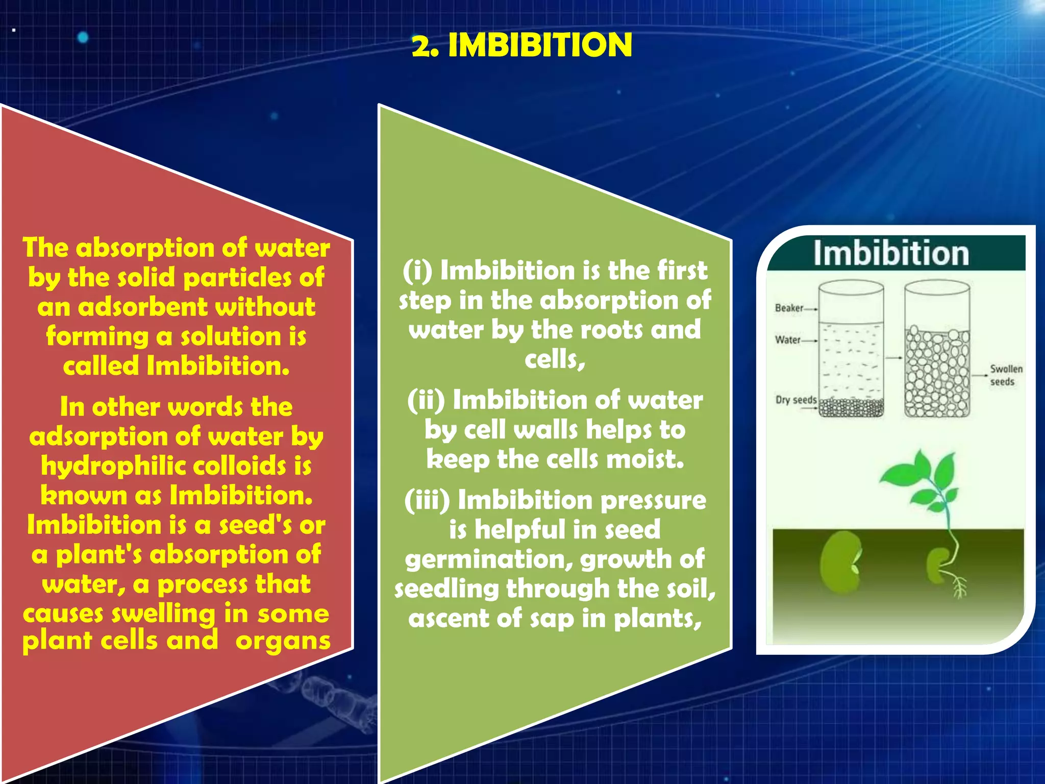 Unit- I -Water Relations in Plant Metabolism | PDF