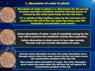 Unit- I -Water Relations in Plant Metabolism | PDF