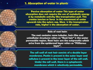 Unit- I -Water Relations in Plant Metabolism | PDF