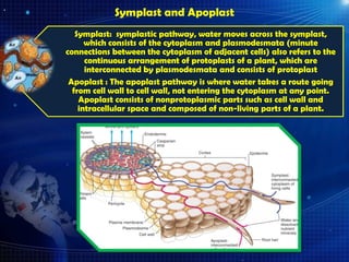 Unit- I -Water Relations in Plant Metabolism | PDF