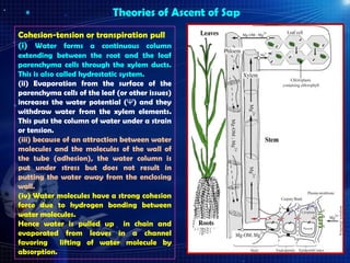 Unit- I -Water Relations in Plant Metabolism | PDF