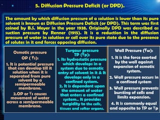 Unit- I -Water Relations in Plant Metabolism | PDF