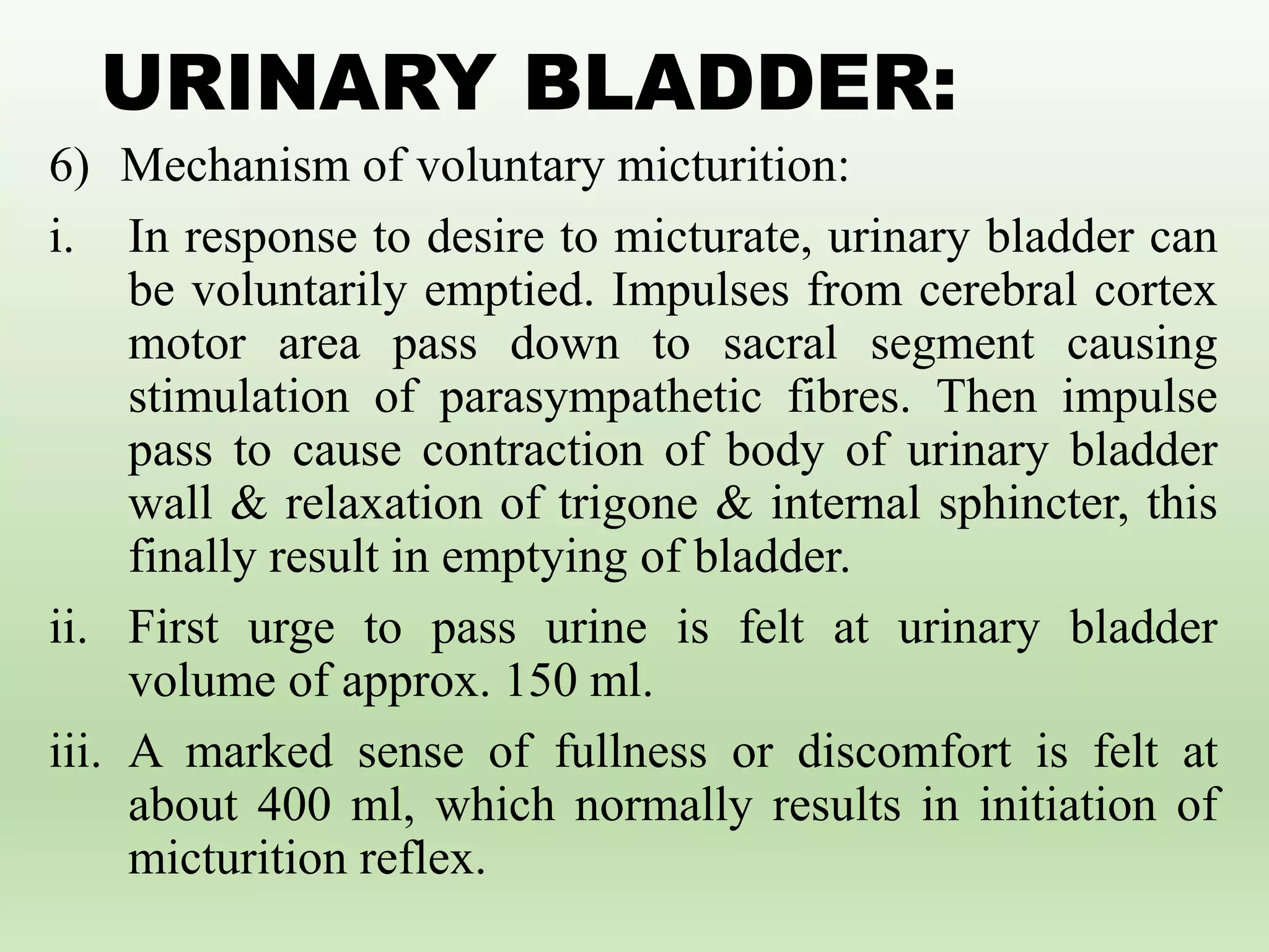 Unit- IX Excretory System.pptx