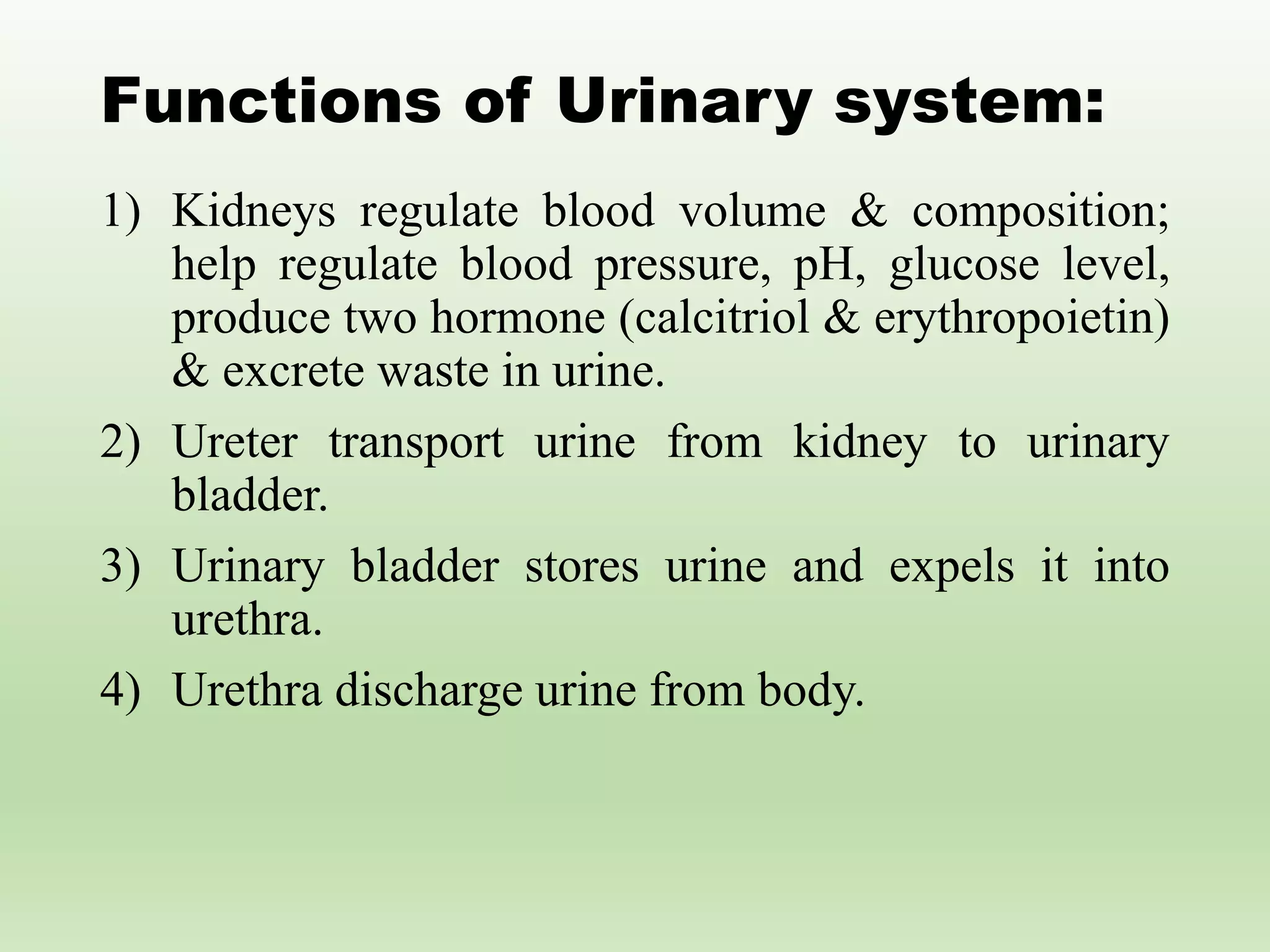 Unit- IX Excretory System.pptx
