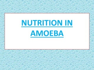 Unit the chemical changes of food-nutrition in amoeba | PPT