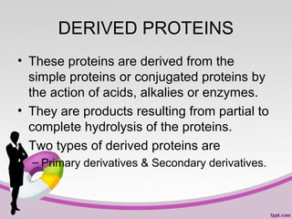 Metabolism of Amino Acids | PPT