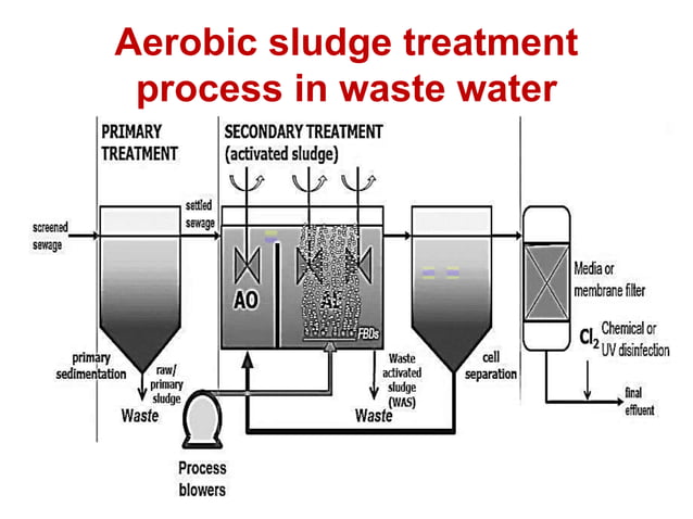 UNIT-V- SLUDGE TREATMENT AND DISPOSAL.pptx | Home & Garden