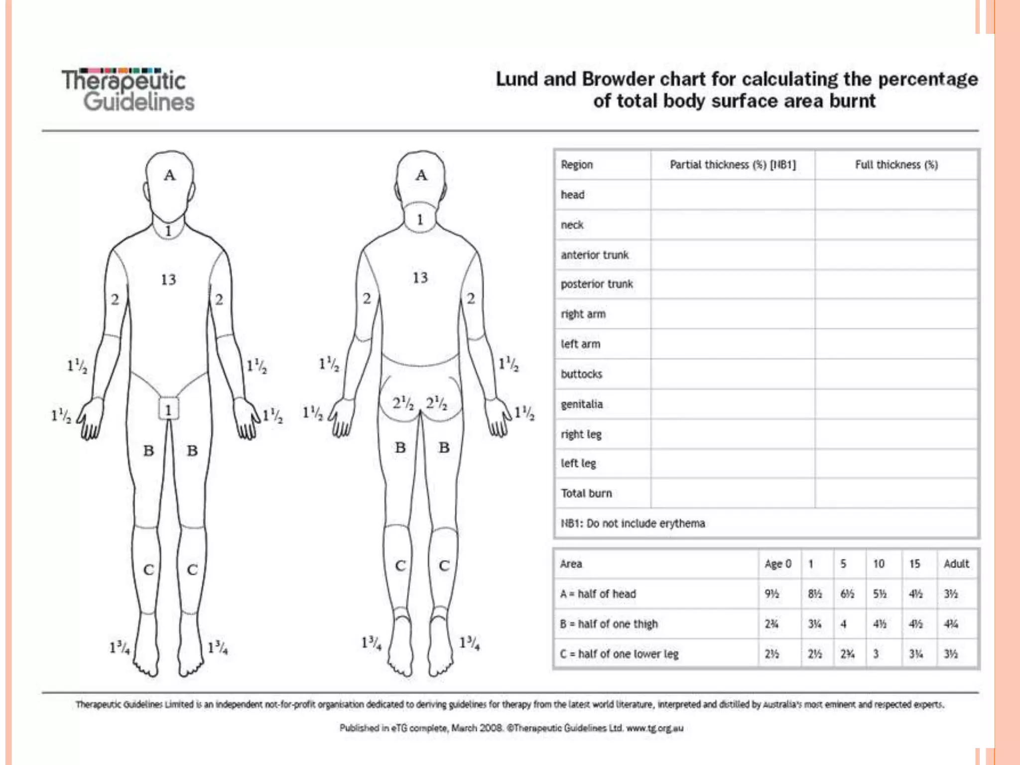 Burns & cosmetic surgery | PPTX