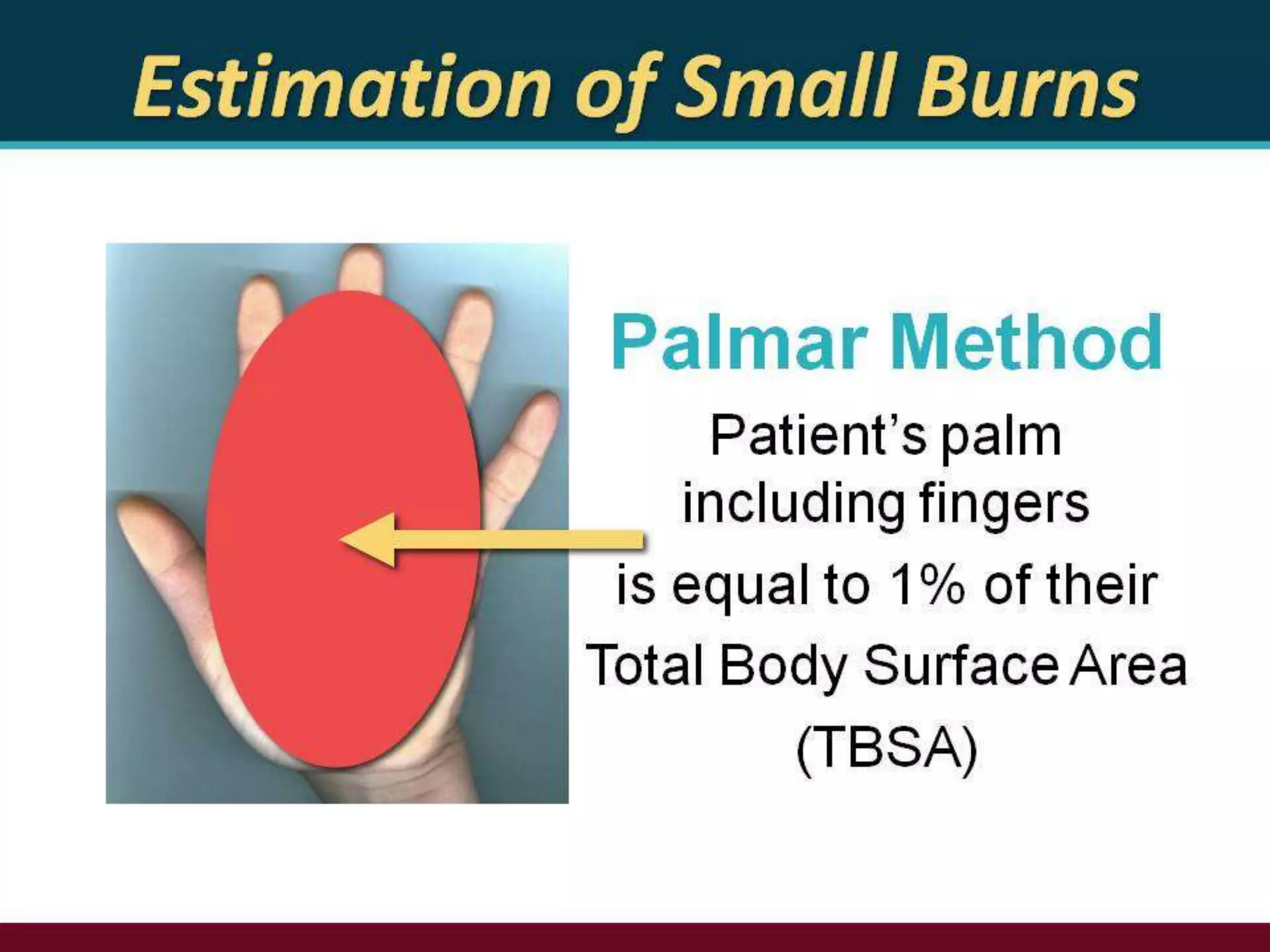 Burns & cosmetic surgery | PPTX