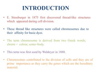 Unit v chromosome str & func | PPTX