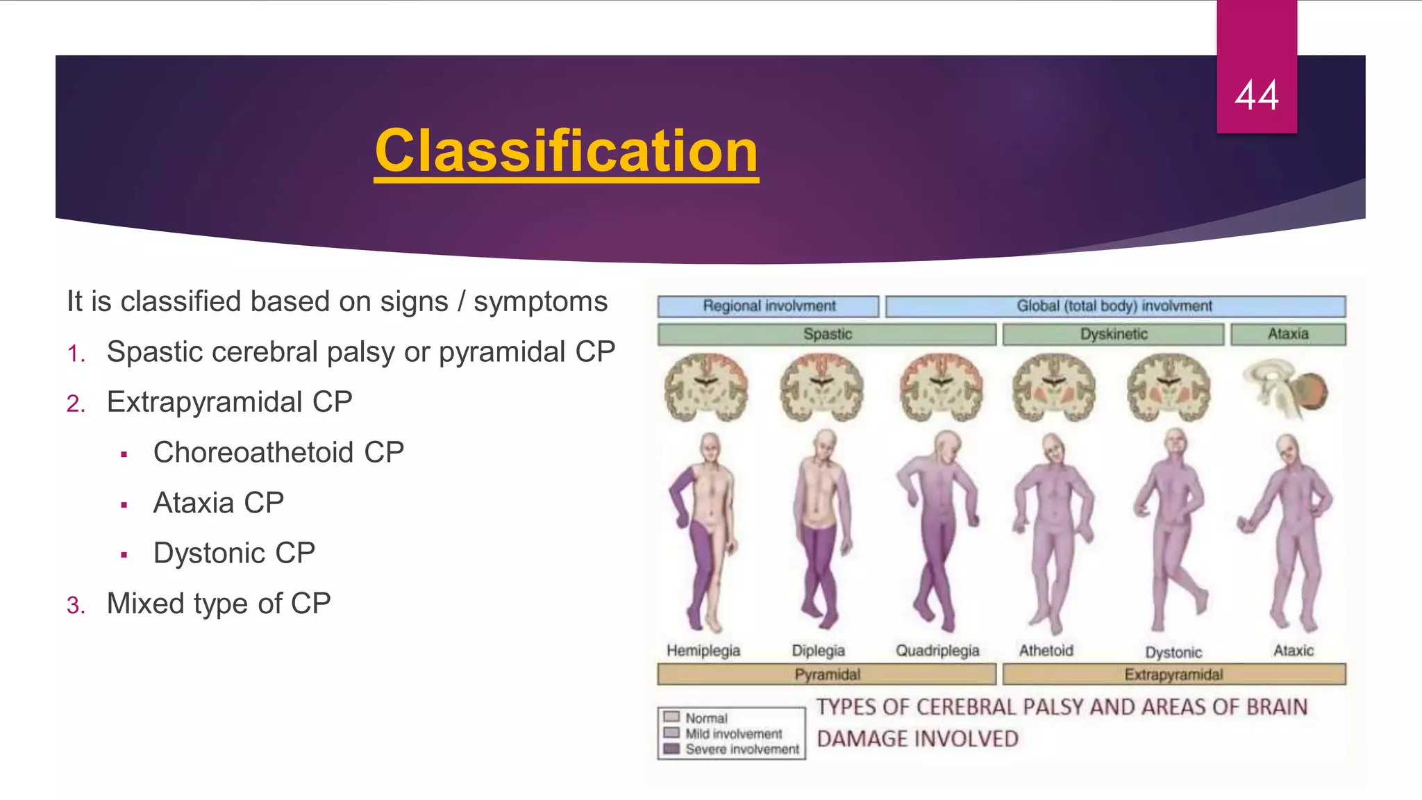 Congenital malformations of the central nervous system | PDF