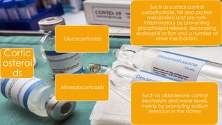 UNIT- VI Describe the drugs used in treatment of endocrine system ...