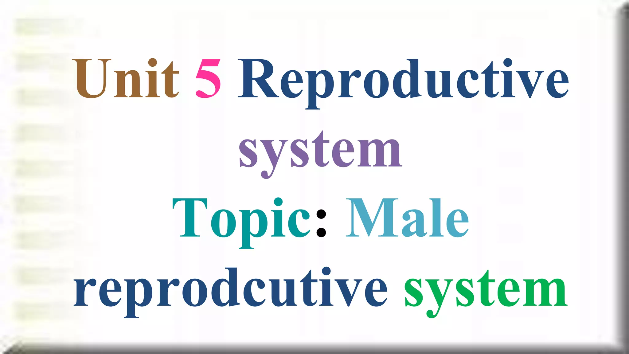 Unit v male reproductive system | PPT