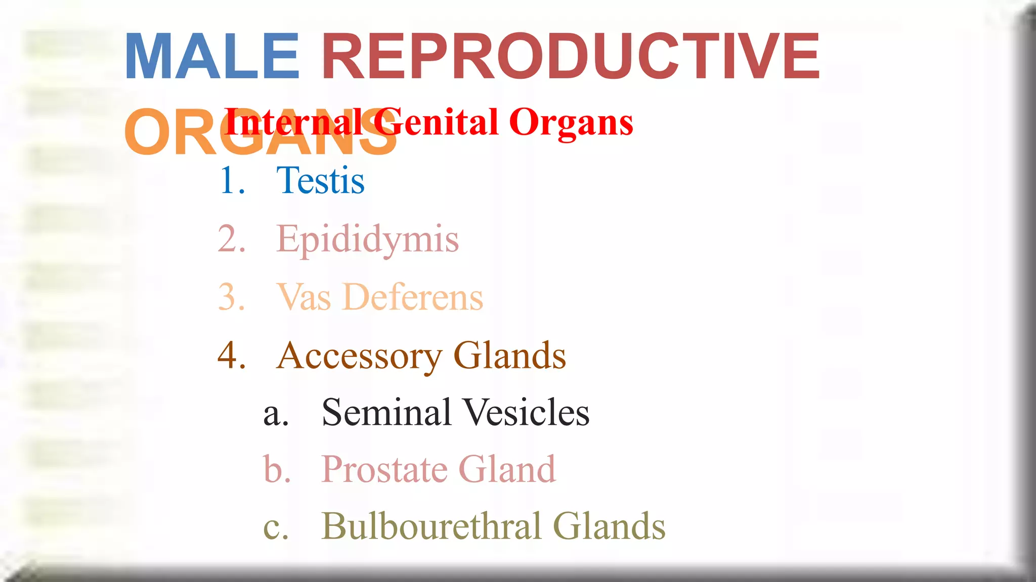 Unit v male reproductive system | PPT