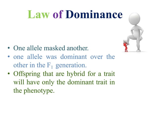 Unit v patterns ofinheritance mendelian inheritance | PPT
