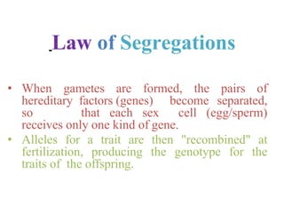 Unit v patterns ofinheritance mendelian inheritance | PPT