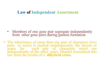 Unit v patterns ofinheritance mendelian inheritance | PPT